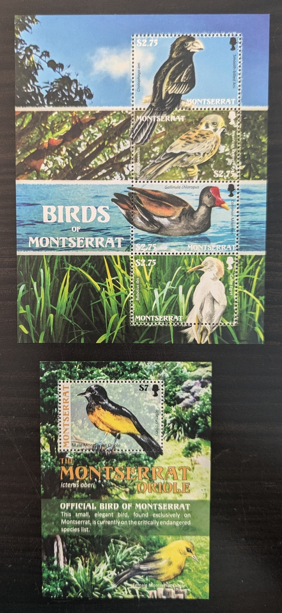 Lot 5 Montserrat SC#1216-1217 2009 Birds Issue, 2 VFNH Souvenir Sheets ...