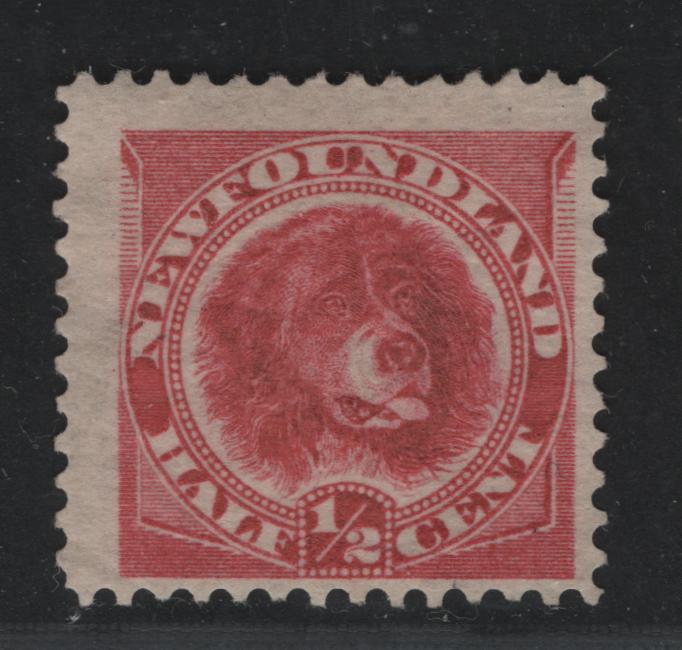 Lot 57 Newfoundland #56 1/2c Rose Red Newfoundland Dog, 1880-1896 Thir ...