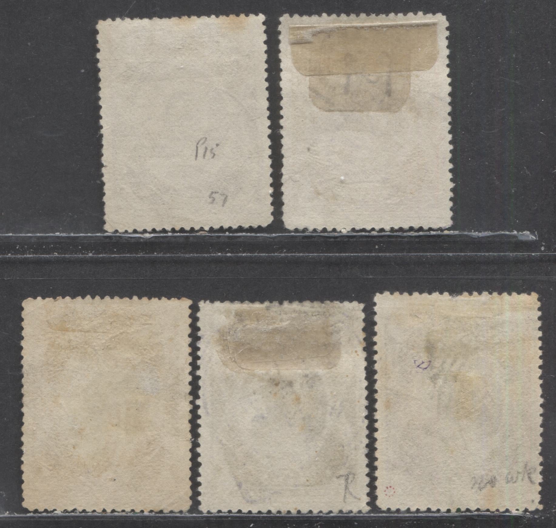 Lot 384 Niger Coast Protectorate SC#47 5d Violet 1894 Unwatermarked Wa – Brixton Chrome